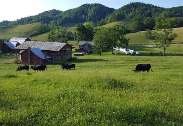 Shipley Farms – Appalachian Community Capital